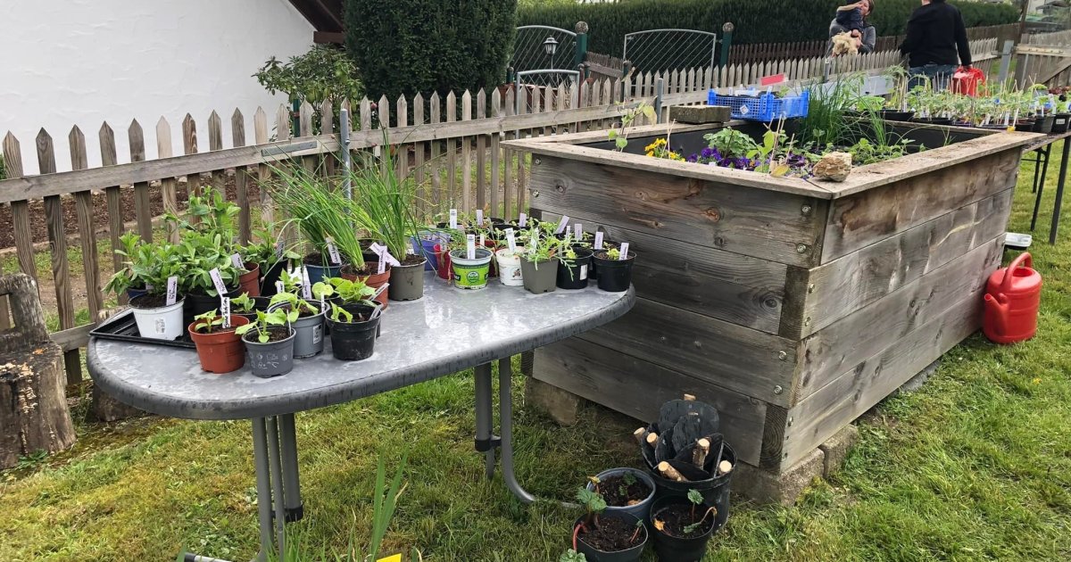 Pflanzenbörse im Brutschelgarten | WebPackage